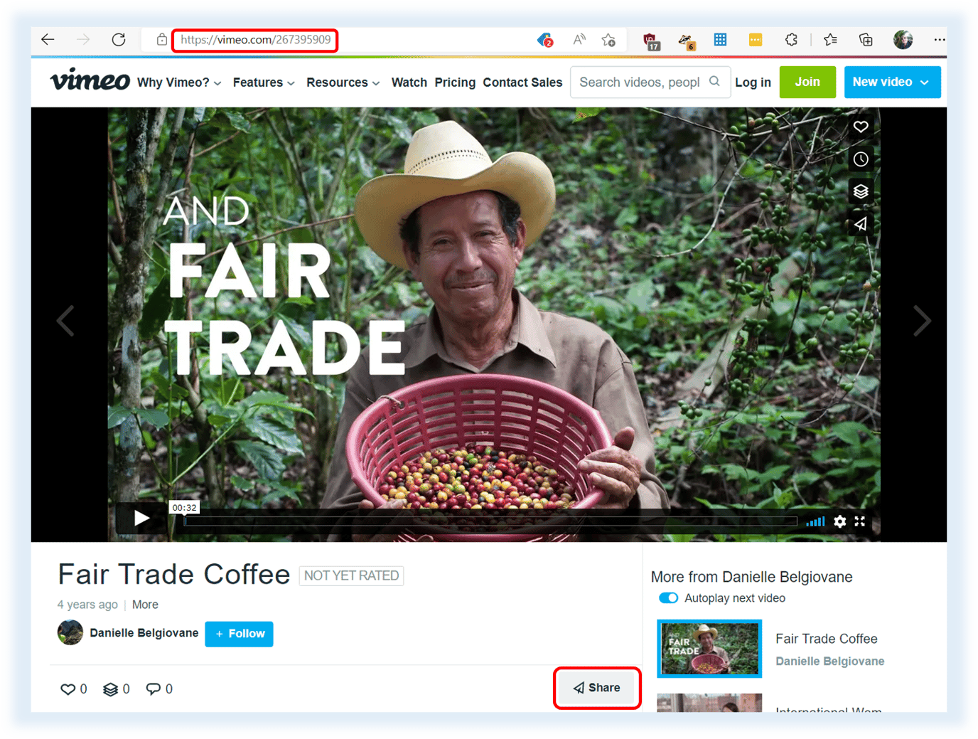 Vimeo Video Integration
